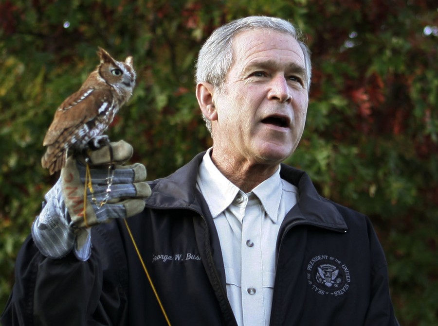 Superb Owl Sunday - The Atlantic