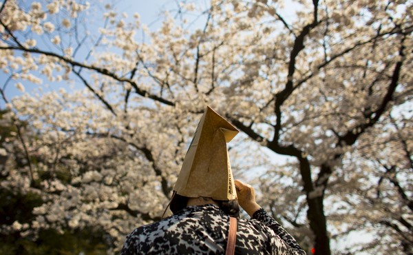 All Stories by Emily Matchar - The Atlantic