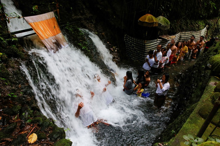 Photos of the Week: Gruffalo Maze, Panama Swing, Luminous Mane - The ...