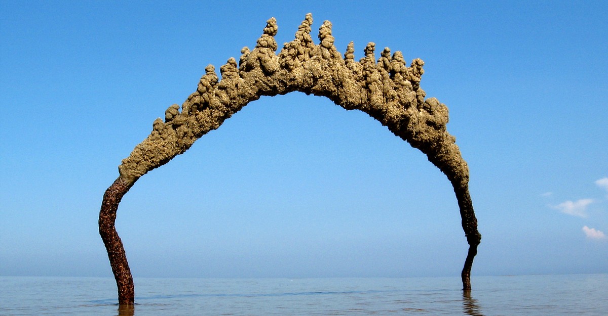 A New Kind of Sandcastle - The Atlantic