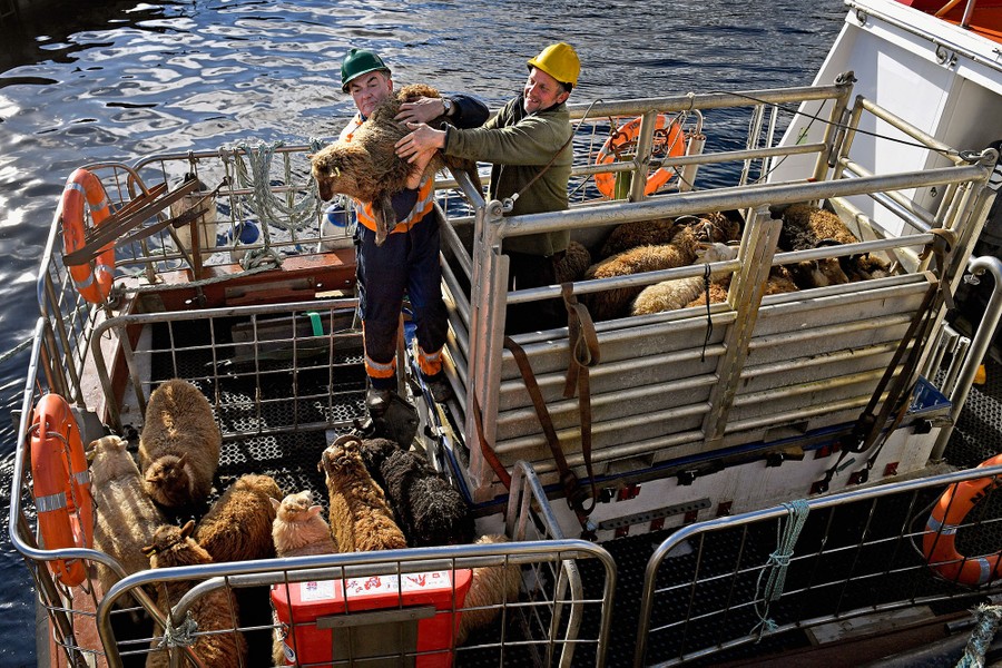 Foula—the Most Remote Inhabited Island in Great Britain - The Atlantic