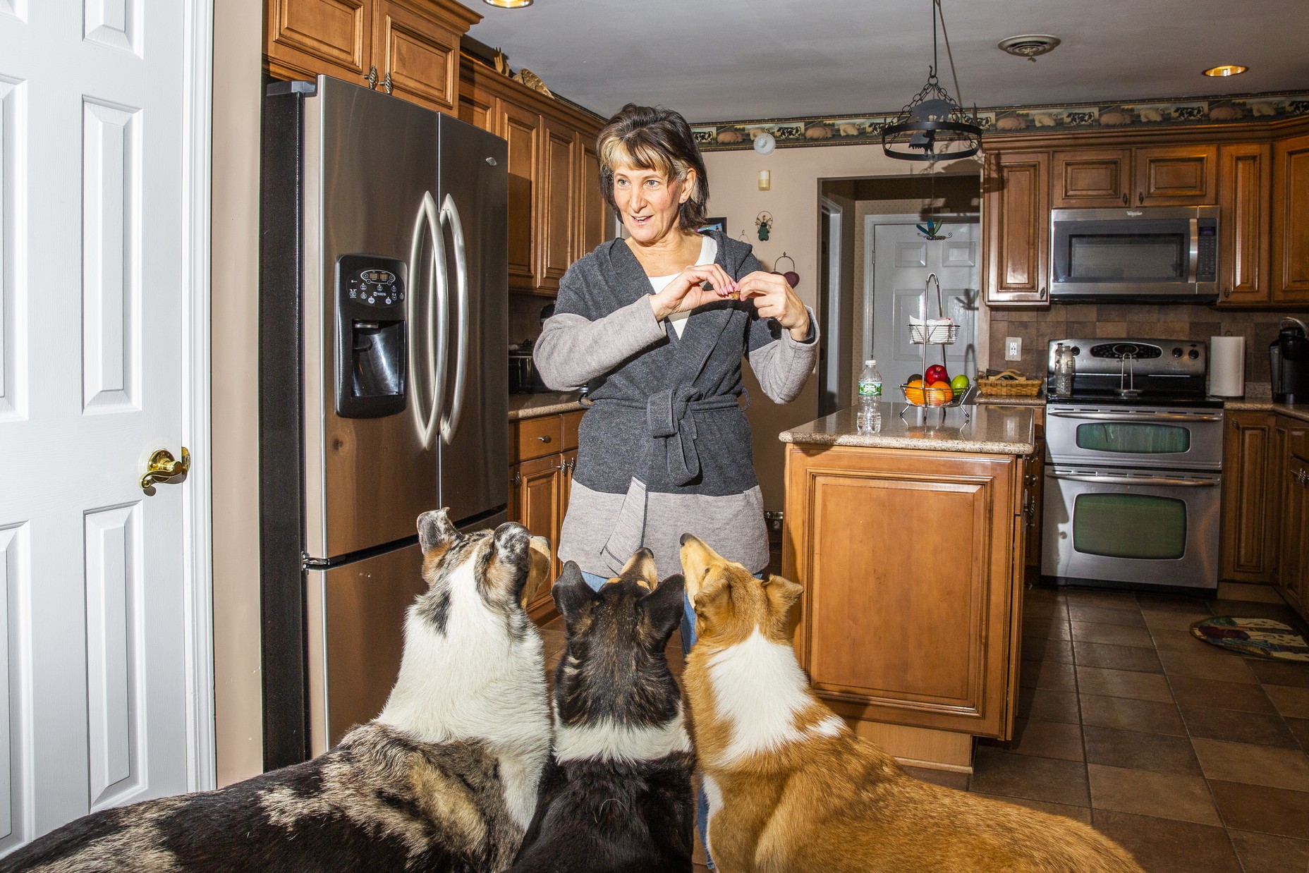 What It's Like for Show-Dog Families Before Westminster - The Atlantic