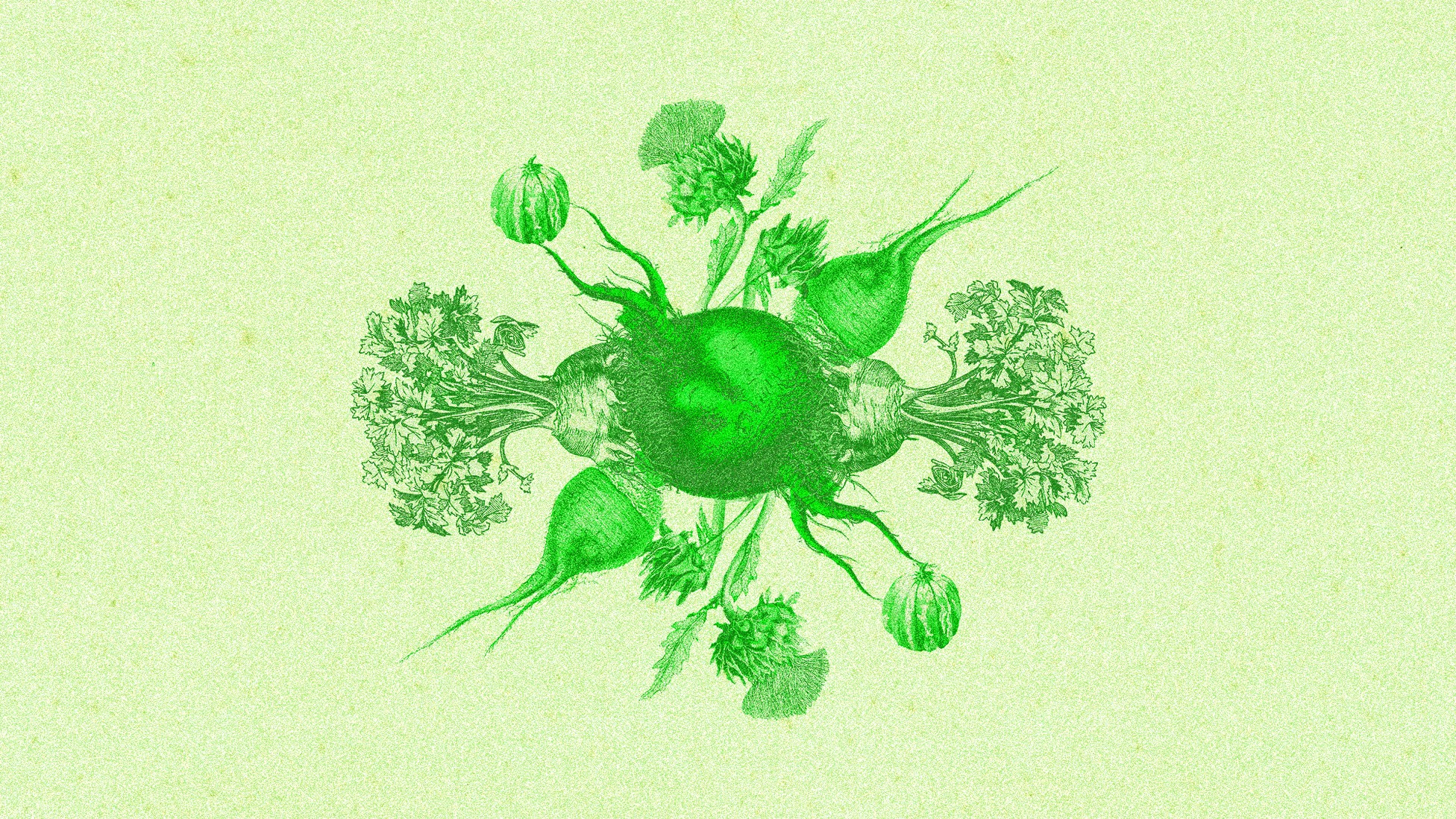 plant-based-has-lost-all-meaning-the-atlantic