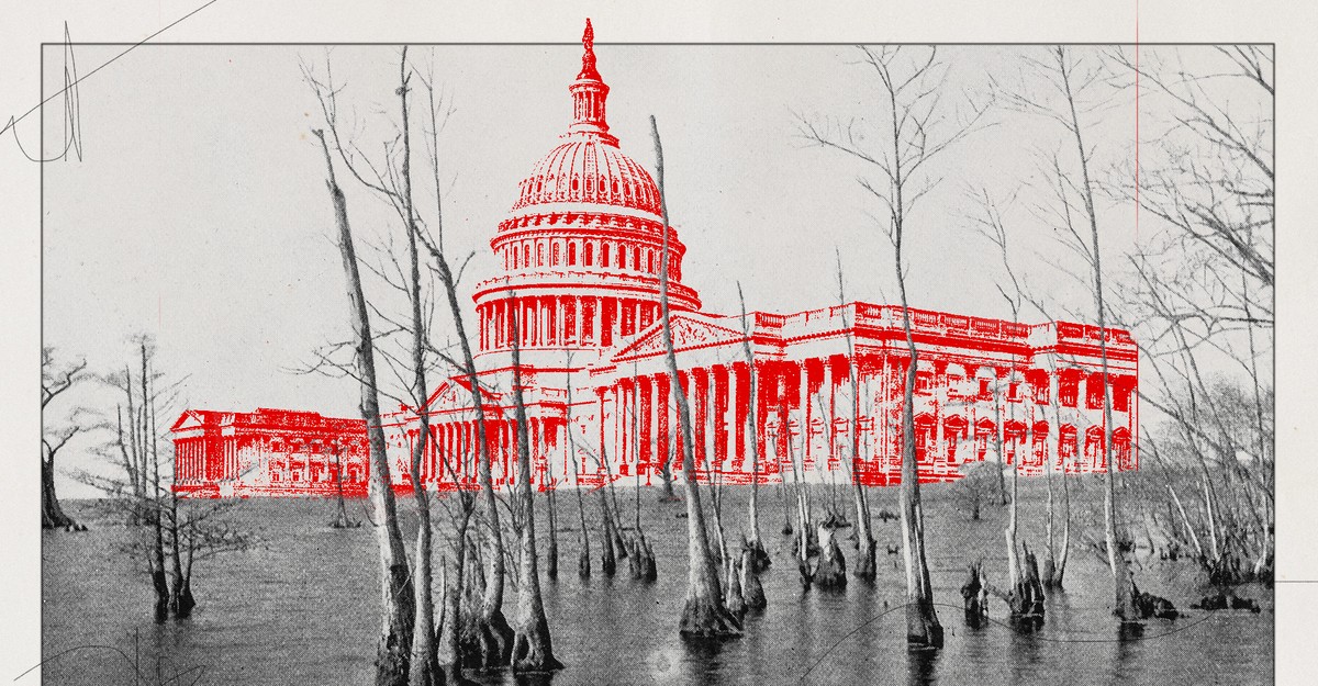 Fill the Swamp? - The Atlantic